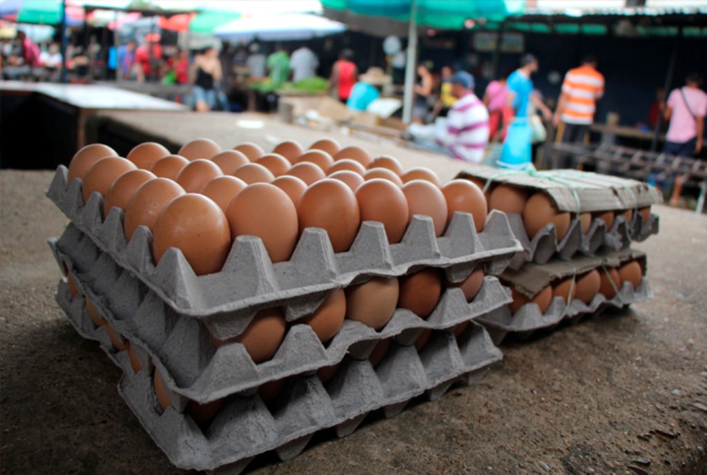 Cartón de huevos ya cuesta 4 millones de bolívares - ACN
