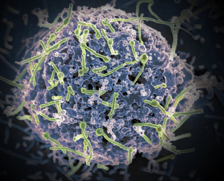 Conviven los virus más infecciosos del mundo - ACN