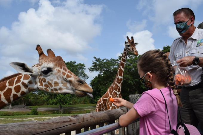Zoológico de Miami ofrece una visita privada a niña con cáncer