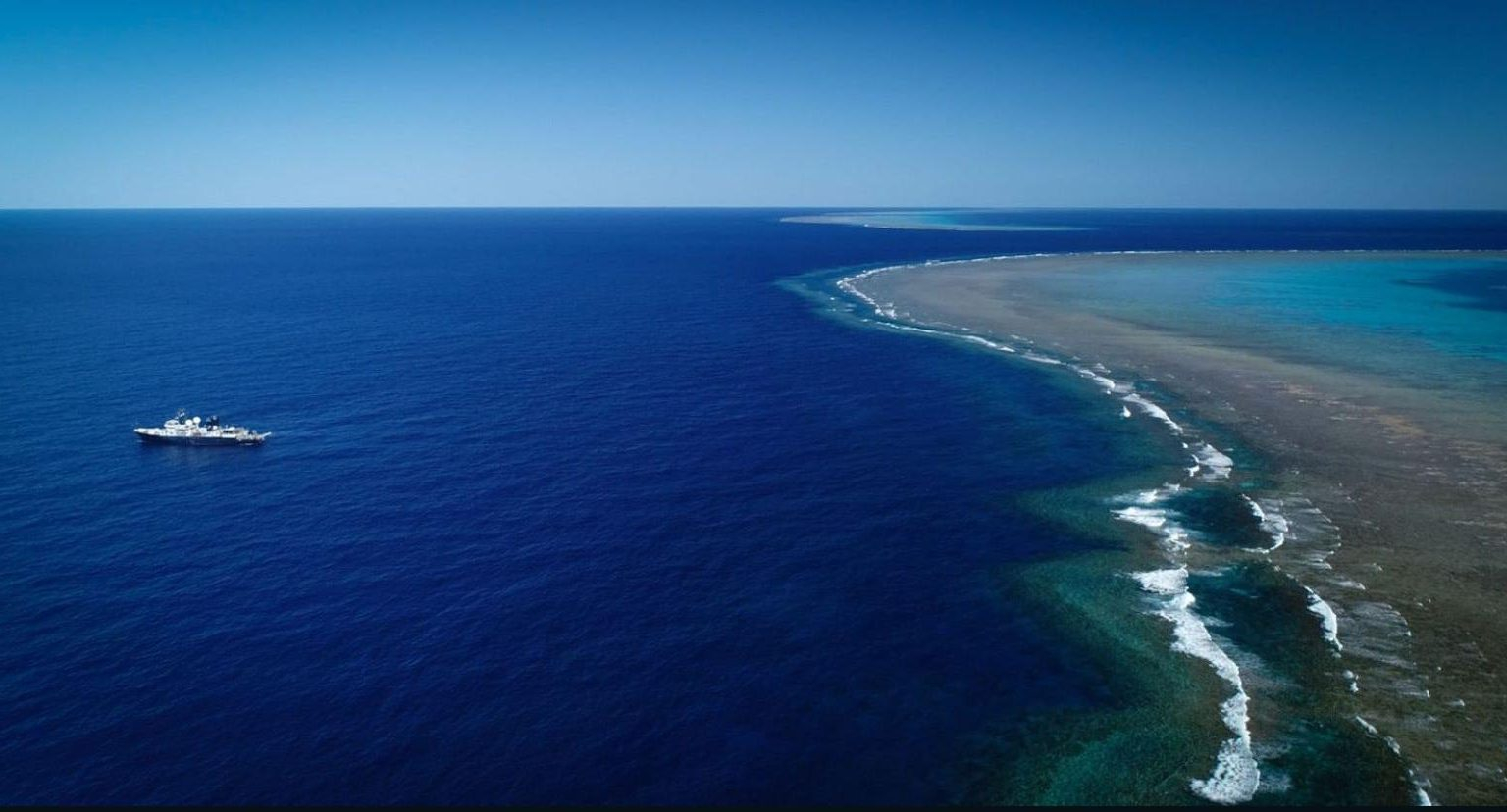 Descubren un «enorme» arrecife de coral en Australia