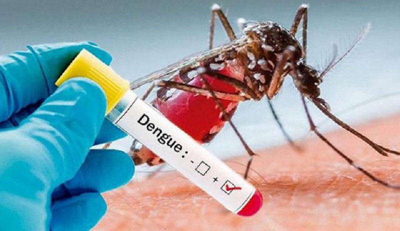 ONU: aumento en muertes por dengue en Venezuela