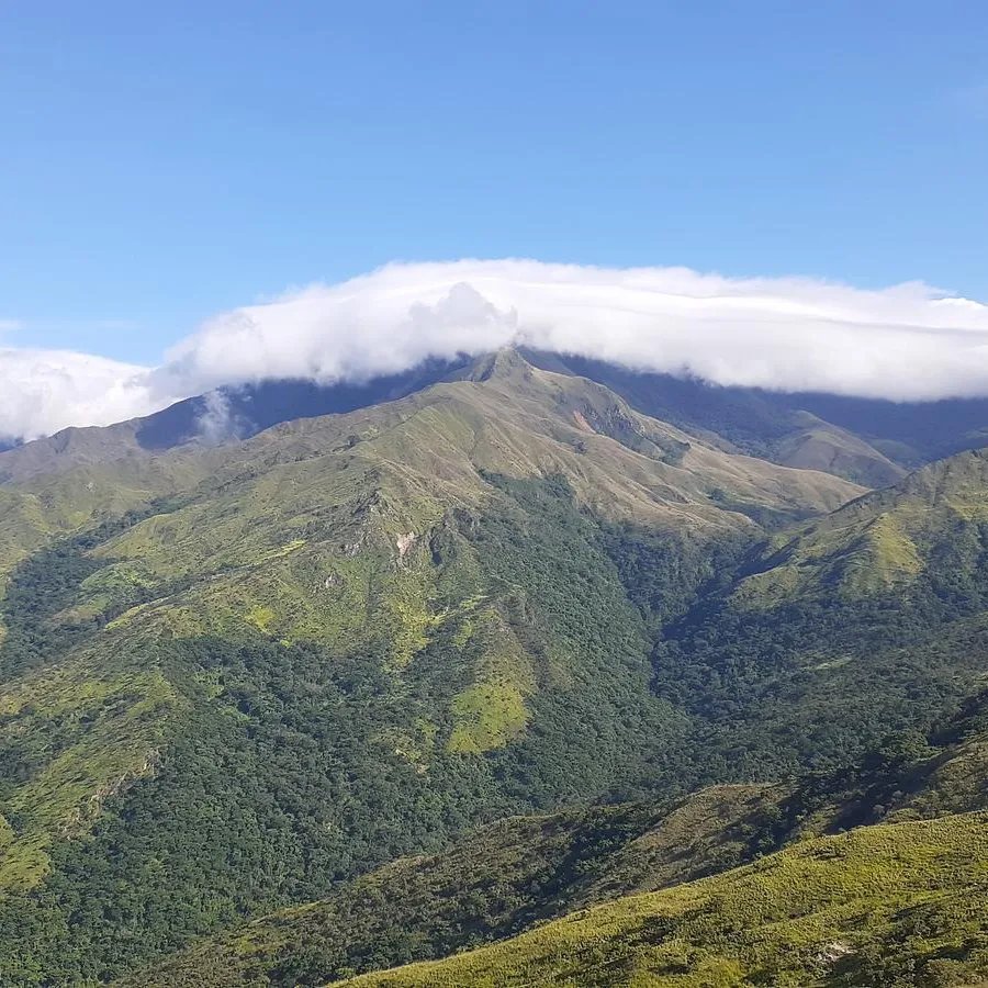 Rescatan a ocho montañistas que se extraviaron en el cerro La Cumaca