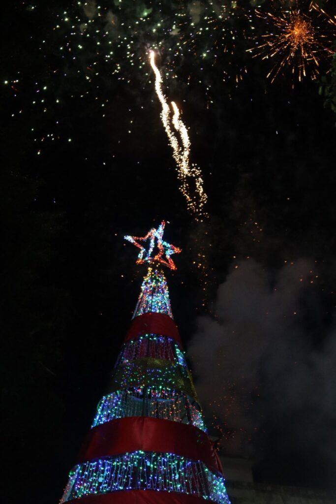 Fuenmayor encendió las Navidades Comunitarias en Valencia